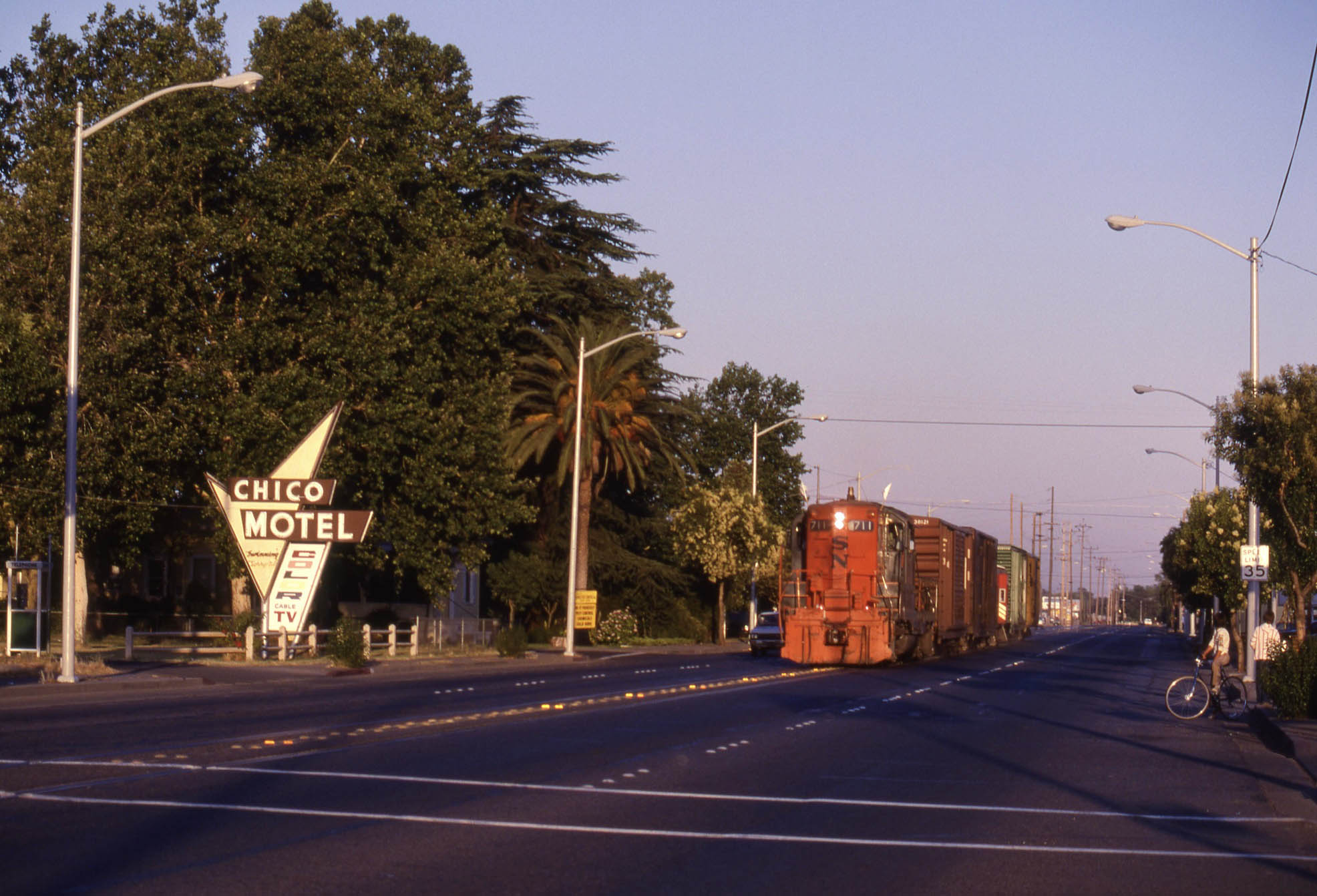 And to Think That I Saw it in Mulberry Yard - East Bay Hills Project